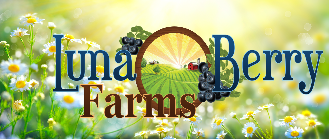 spring header 2026 – LUNA BERRY FARM